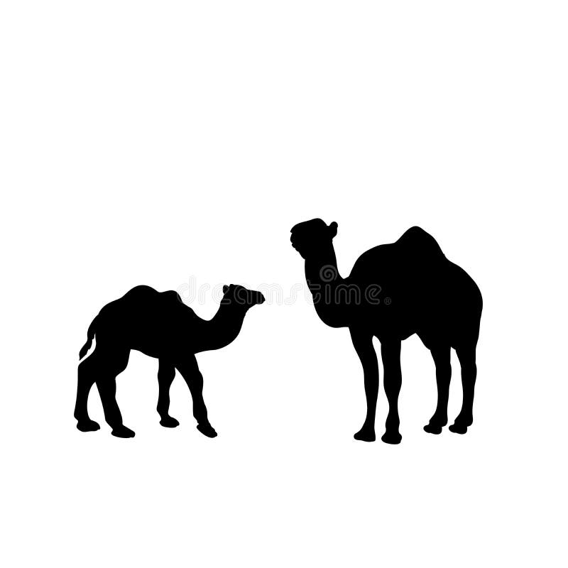Silhouette of Camel and Young Small Camel Stock Vector - Illustration ...