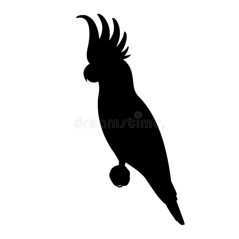 Black Cockatoo Outline Stock Illustrations – 392 Black Cockatoo Outline ...