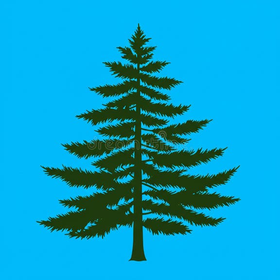Silhouette of a Coniferous Tree, Possibly a Spruce or Pine, with a ...