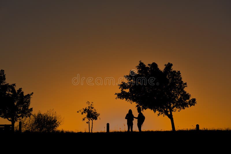 Silhouette of Couple Standing Under a Tree during Sunset Stock Image ...