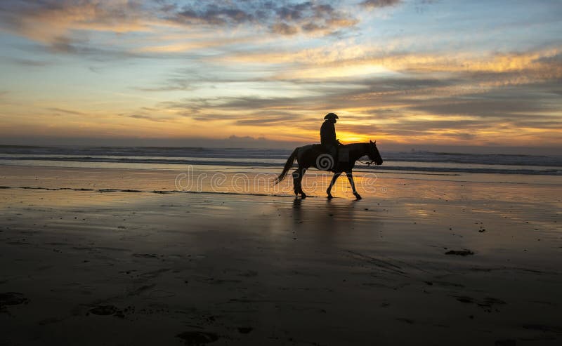 Silhouette of a Cowboy on Horseback with Riding on Wet Sand at a Beach ...
