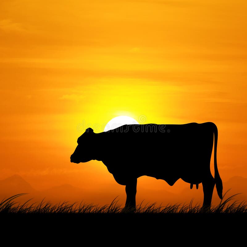 Silhouette Cows Standing on a Meadow at Sunset. Stock Illustration ...