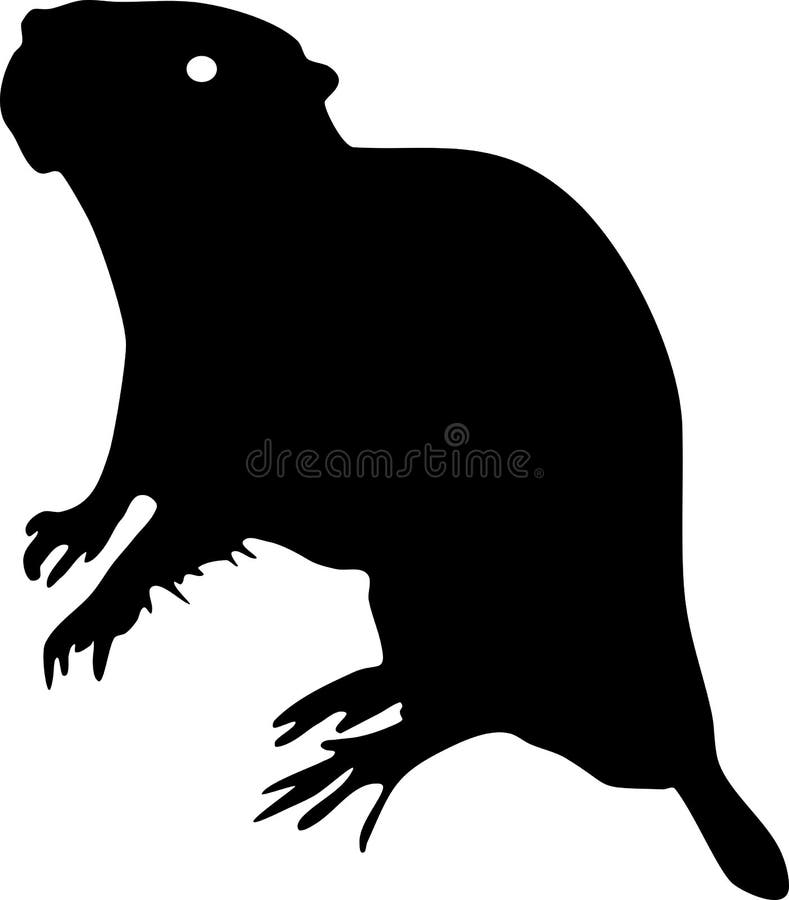 Coypu Stock Illustrations – 171 Coypu Stock Illustrations, Vectors ...