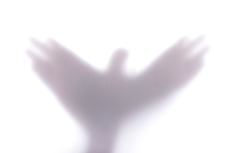 Silhouette Creating a Shape of a Flying Bird with Hands, Behind Stock ...