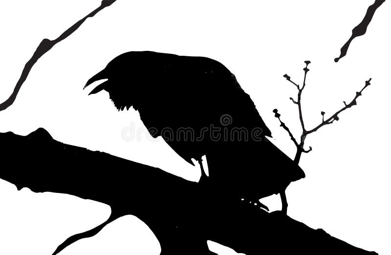 Cawing Crow Stock Illustrations – 259 Cawing Crow Stock Illustrations ...