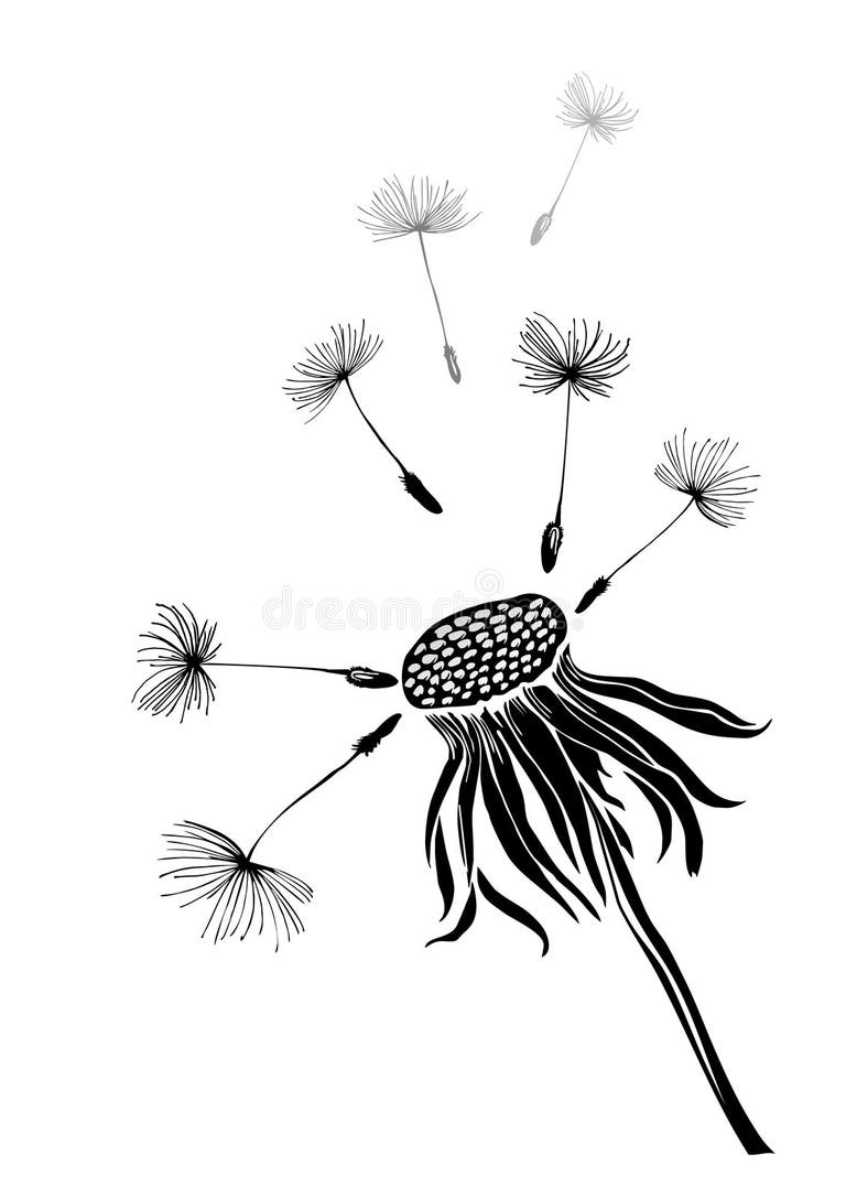 Dandelion Fluff Silhouette Stock Illustrations – 1,940 Dandelion Fluff ...