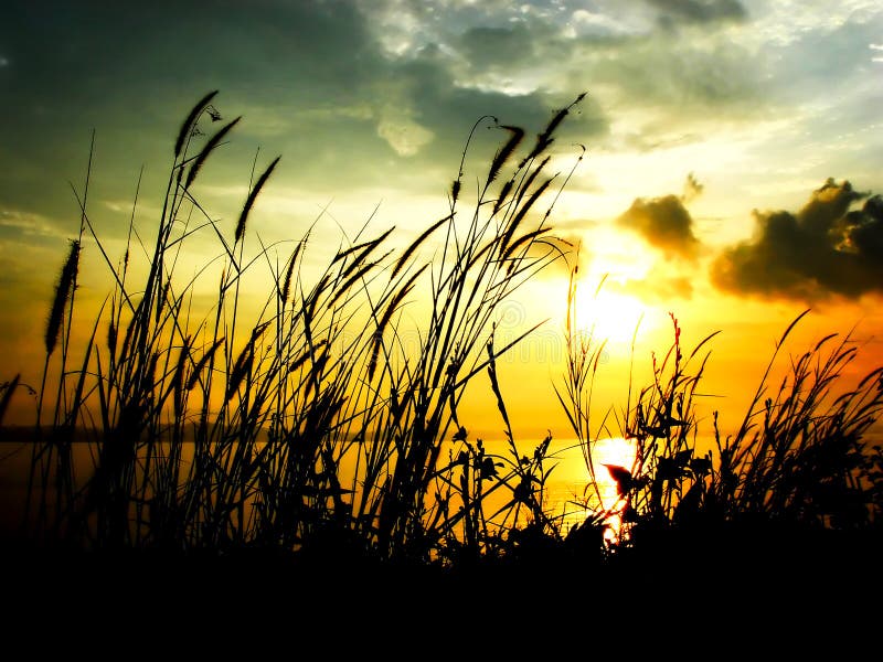 Silhouette at dawn stock image. Image of asia, eagerness - 3597699