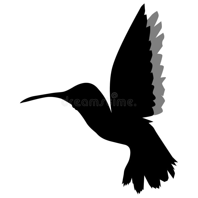 Silhouette de colibri illustration de vecteur. Illustration du ...