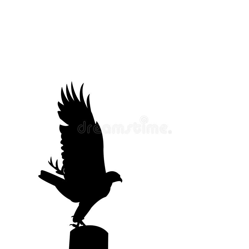 Rapace Stock Illustrations, Vecteurs, & Clipart – (24,787 Stock ...