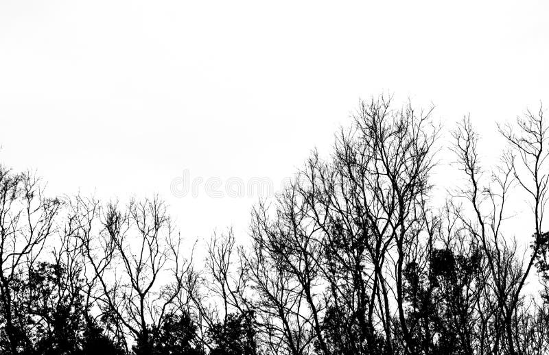 138 Lamentation Dead Stock Photos - Free & Royalty-Free Stock Photos ...