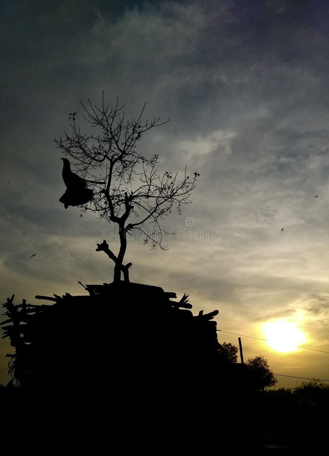 247 Funeral Birds Stock Photos - Free & Royalty-Free Stock Photos from ...