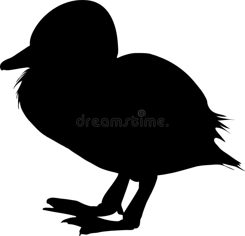 Silhouette duckling stock vector. Illustration of isolated - 34581104