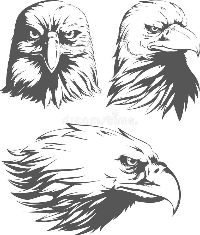 Silhouette Eagle Head Falcon Front Sideview Set Isolated Vector Logo ...
