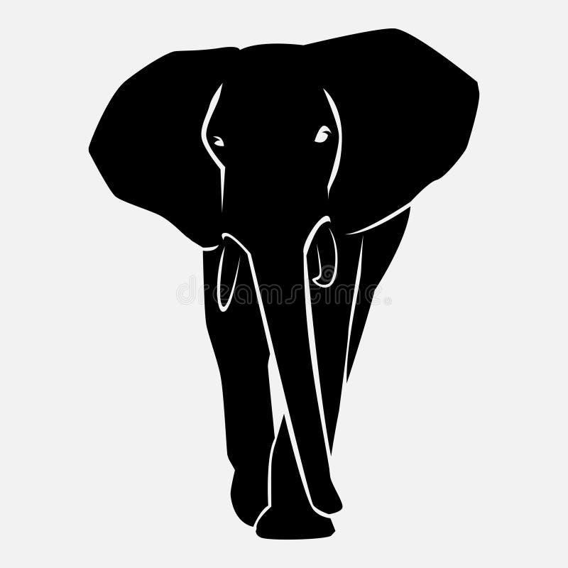 Elephant Front View Drawing