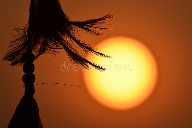 Feather and Sunset in Beach Stock Image - Image of cloud, sunlight ...