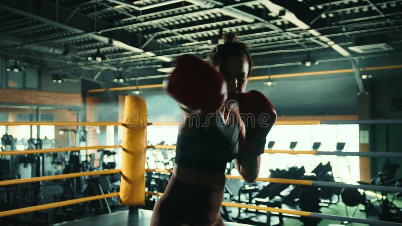Silhouette of Female Boxer Practicing Straight Punches in Dramatic ...