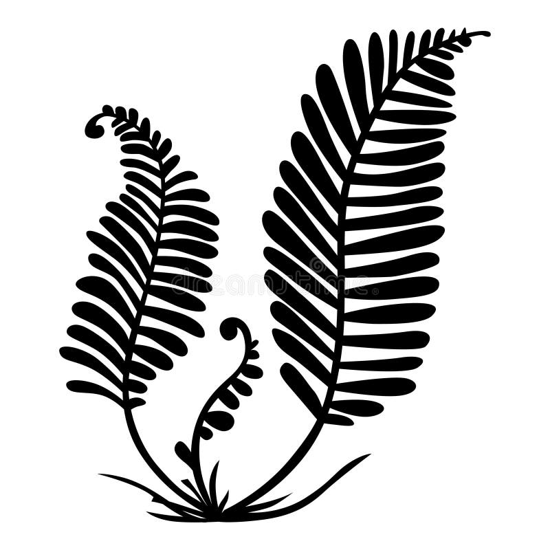 Silhouette fern icon stock vector. Illustration of leaves - 241084588