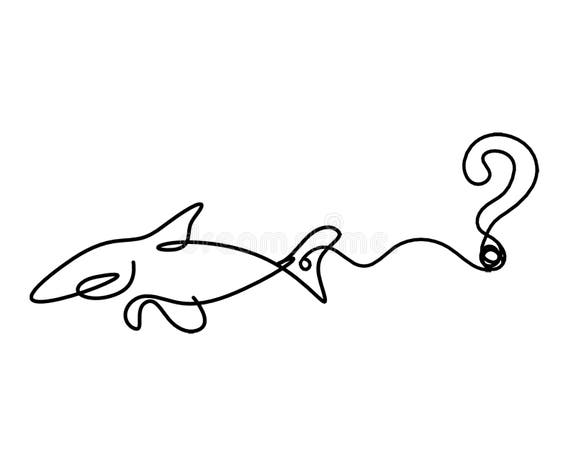 Silhouette of Fish and Question Mark As Line Drawing on White Stock ...