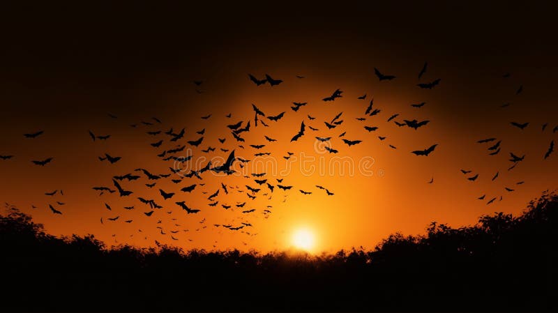 Silhouette of a Flock of Bats Against the Background of an Orange Sky ...