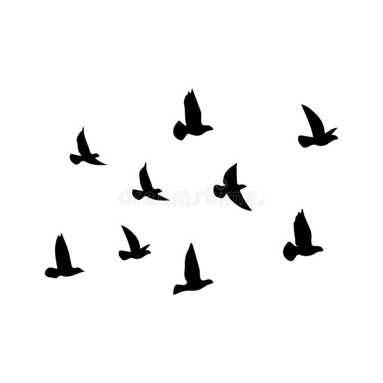 Silhouette of a Flock of Birds Vector Illustration on a White ...