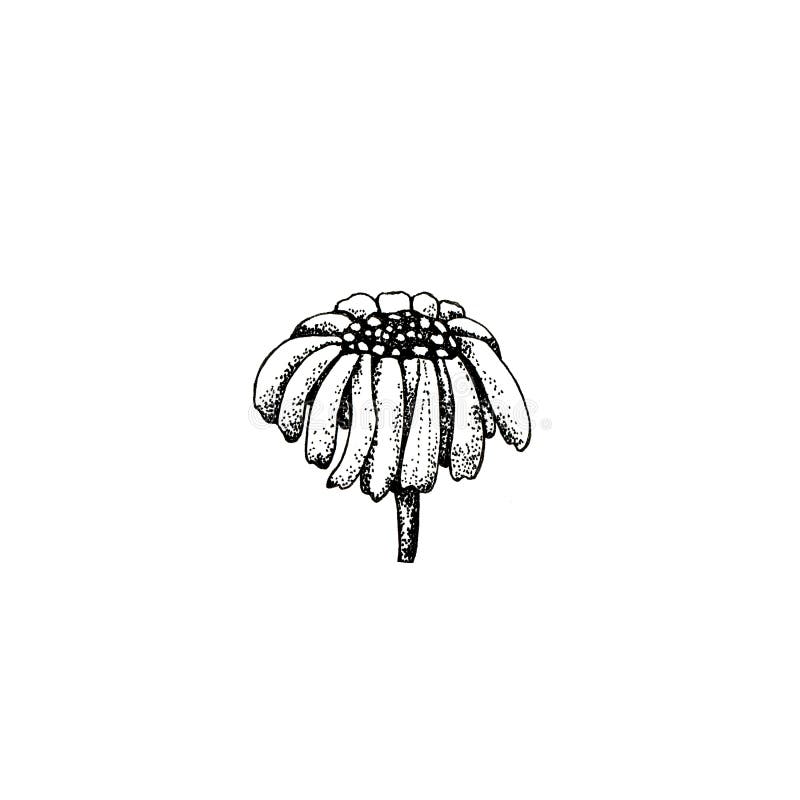 Drawing Wrappers Stock Illustrations – 1,306 Drawing Wrappers Stock ...