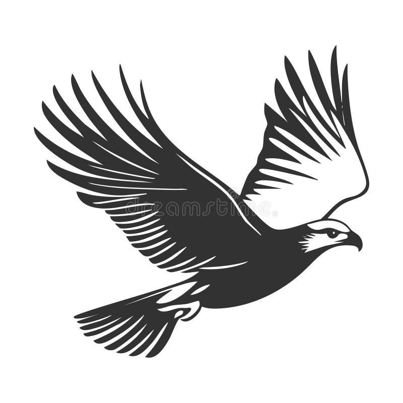 Silhouette of a Flying Eagle with Outstretched Wings on White ...