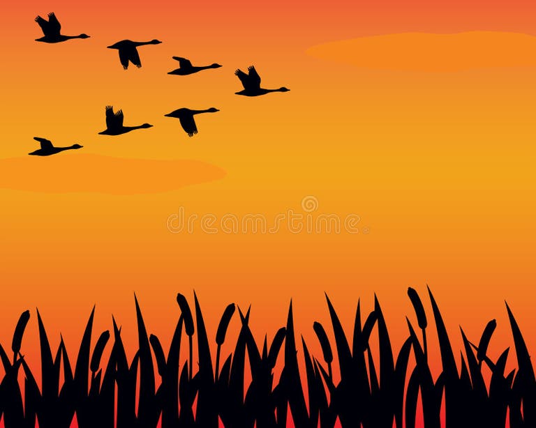 Marsh Stock Illustrations – 24,439 Marsh Stock Illustrations, Vectors ...