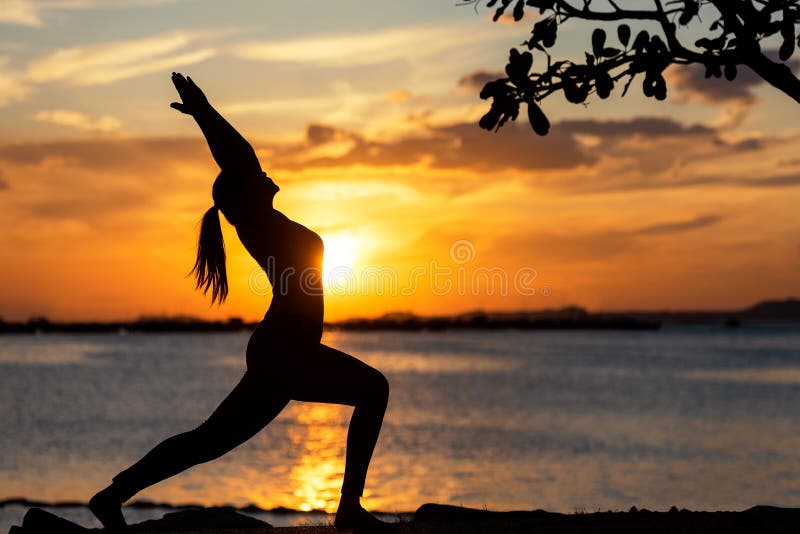 Silhouette Gezonde Vrouw Levensstijl Met Levensechte Meditatie En Yoga