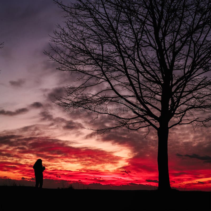 Silhouette of a Girl at Sunset Tree. Summertime Stock Image - Image of ...