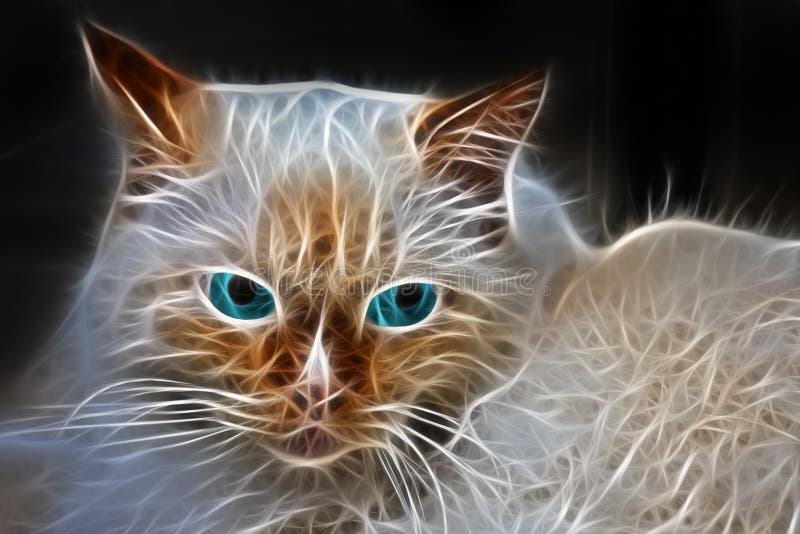 Glowing Cat Wallpaper