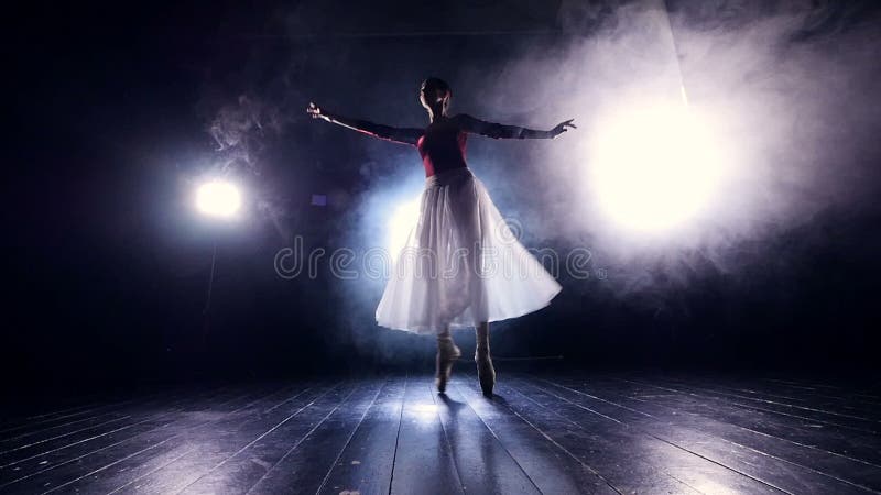 Silhouette of the Graceful Dancing Lady. Slow Motion. HD. Stock Footage ...