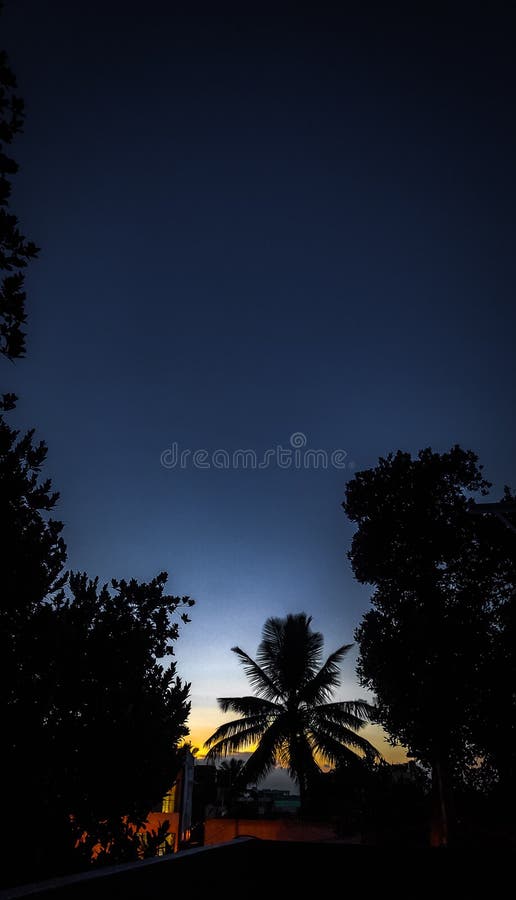 Silhouette Gradient Sky during the Sunset Yellow Blue Stock Image ...