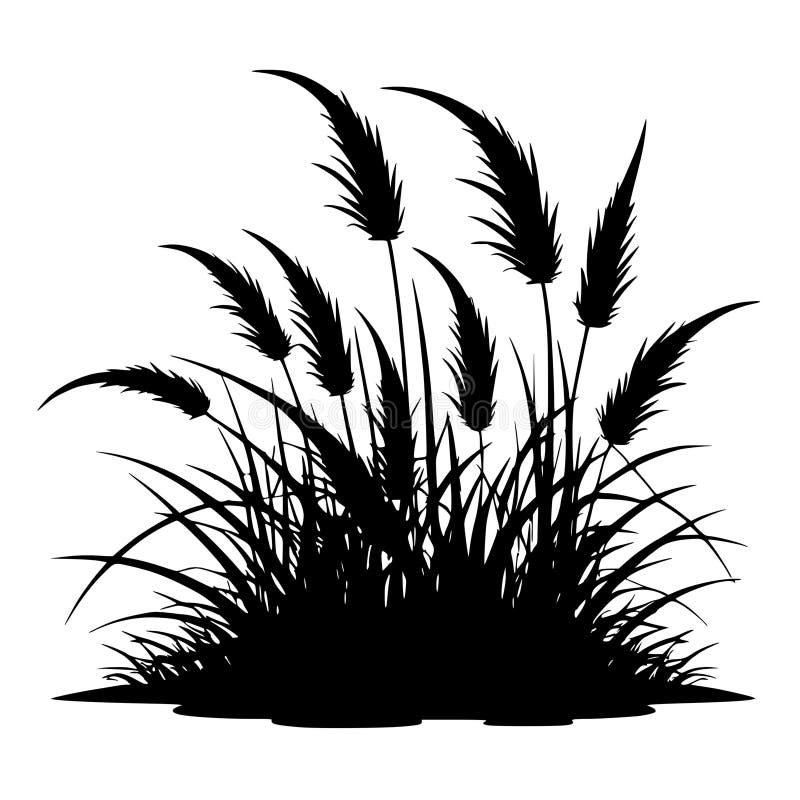 Silhouette of the Grass. Illustration Stock Illustration - Illustration ...