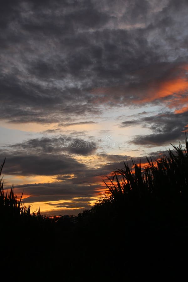 Beautiful Sunset Background in the Afternoon Stock Image - Image of ...