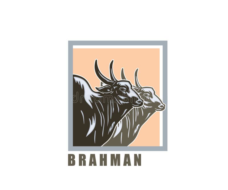 Brahma Bull Logo Browse Thousands Of Brahma Bull Images For Design