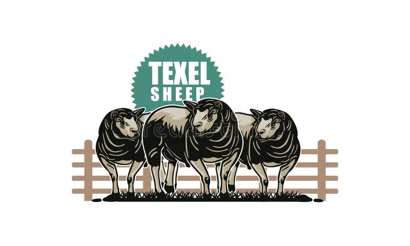 TEXELSUPERIOR BREEDING SHEEP LOGO Stock Vector - Illustration of icon ...
