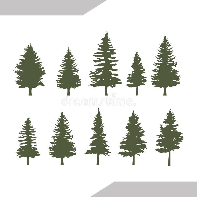 Silhouette Green Pine Trees Evergreen Forest Collection.Vector Illustration Stock Vector ...
