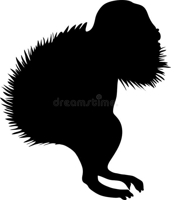 Silhouette of a Ground Squirrel Stock Vector - Illustration of animal ...