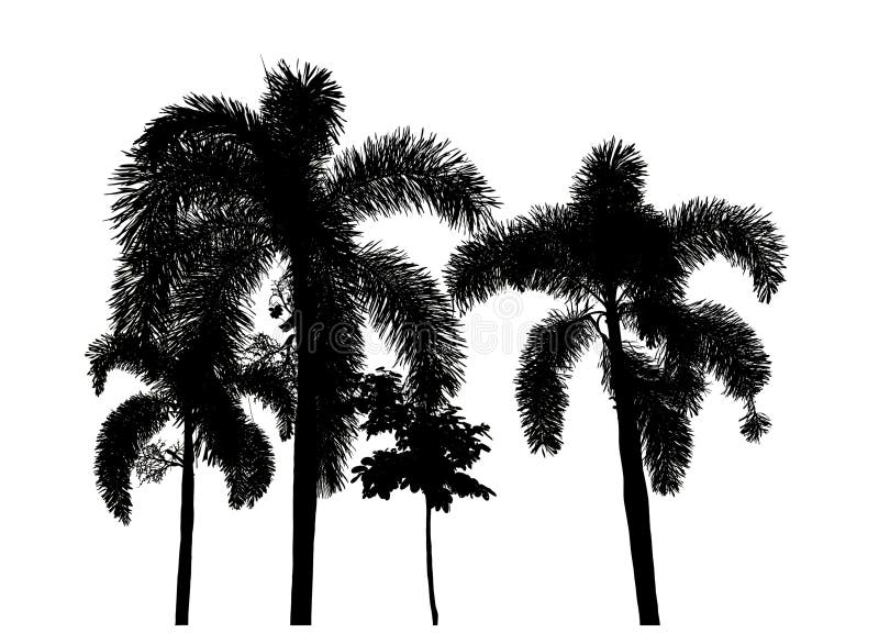 Palm Leaf Alpha Stock Illustrations – 498 Palm Leaf Alpha Stock ...