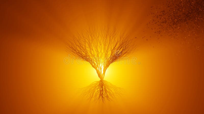 Silhouette of Growing Tree with Roots. Sun Rays Shining through the ...