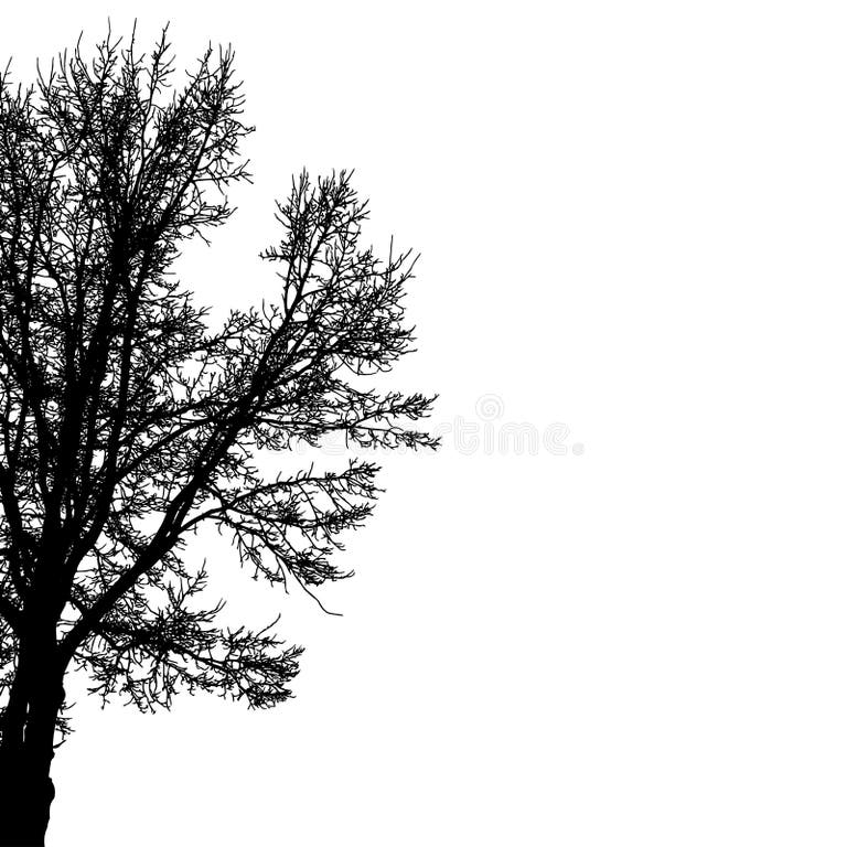 Silhouette of Half Tree with Bare Branches. Vector Illustration Stock ...