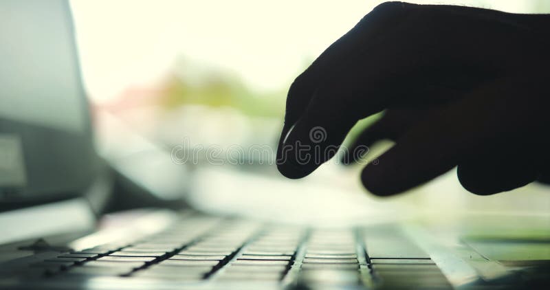 Silhouette of Hands Typing on Computer Keyboard, Business Man Working ...
