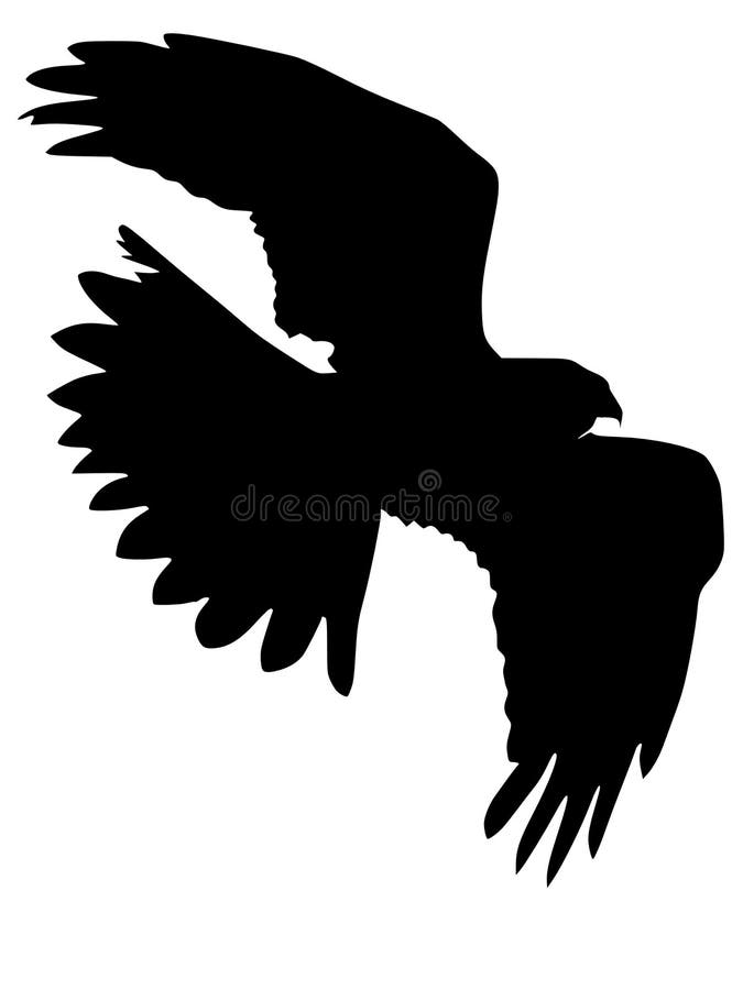 Harrier Silhouette Stock Illustrations – 337 Harrier Silhouette Stock ...