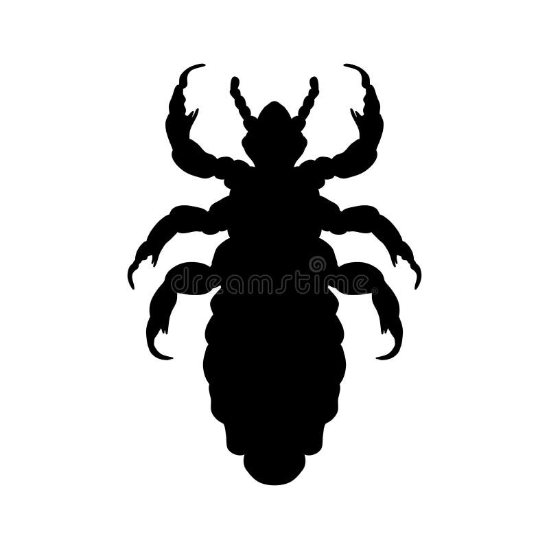 Louse Outline Stock Illustrations – 138 Louse Outline Stock ...