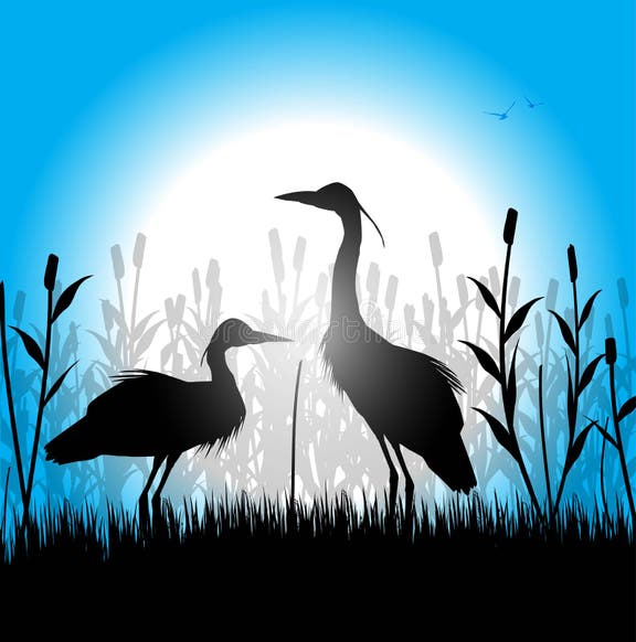 Marsh Stock Illustrations – 34,709 Marsh Stock Illustrations, Vectors ...