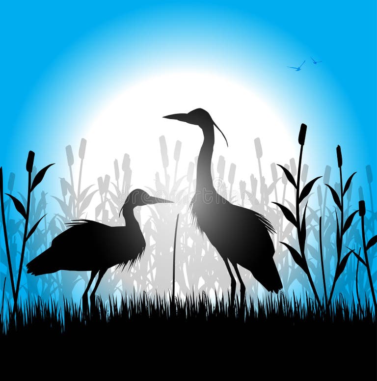 Marsh Stock Illustrations – 30,496 Marsh Stock Illustrations, Vectors ...