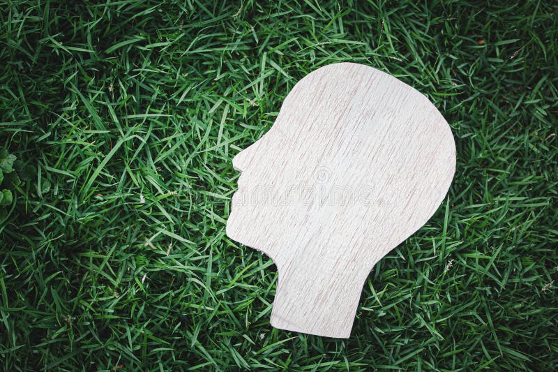 Silhouette of a Human Head on Grass: Symbolizing Mental Clarity and ...