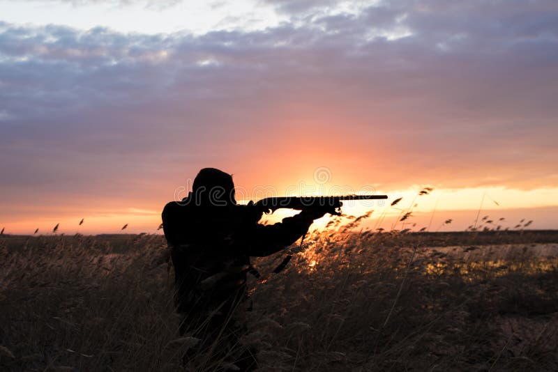 Silhouette of the hunter stock photo. Image of duck, male - 53495892