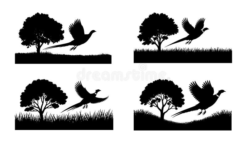 Flying Pheasant Silhouette Stock Photos - Free & Royalty-Free Stock ...