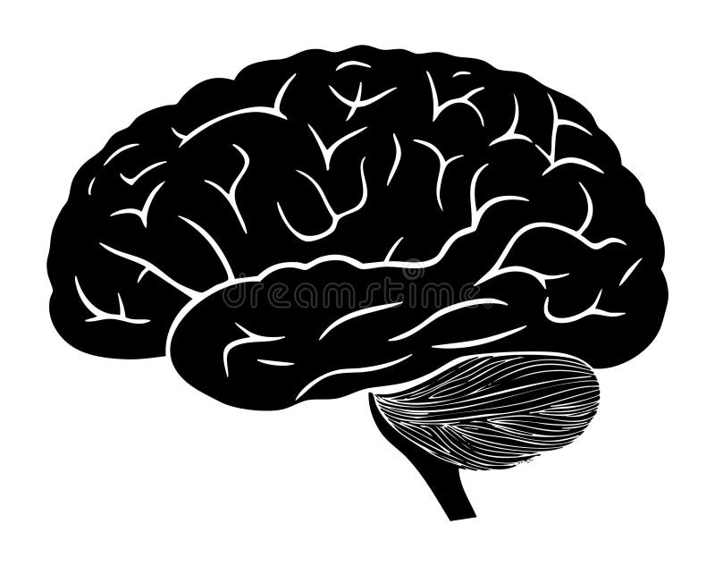 Silhouette Illustration of a Human Brain in Black and White. Stock ...